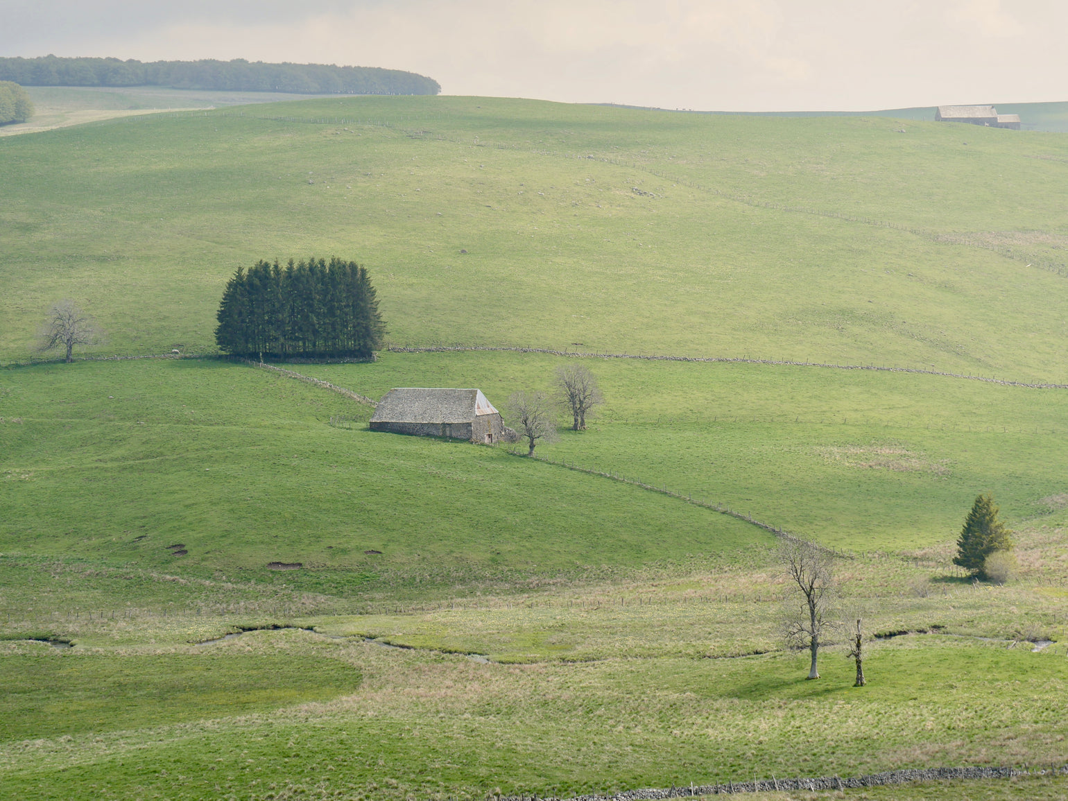 Michel BRAS Côté Japon